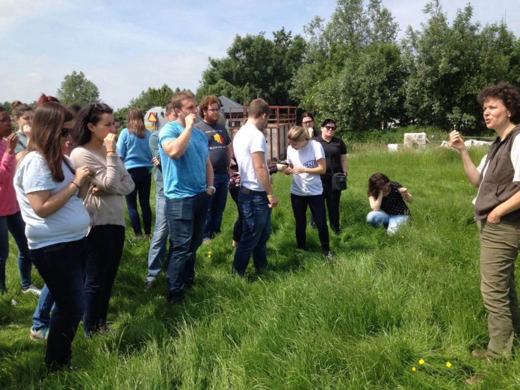 A week with two successful farm tours - Dutch Farm Experience